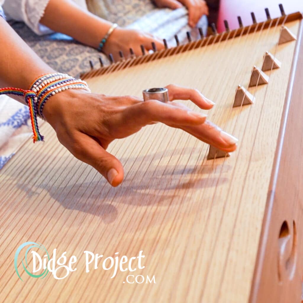 Monolina Monochord by Feeltone - Didge Project