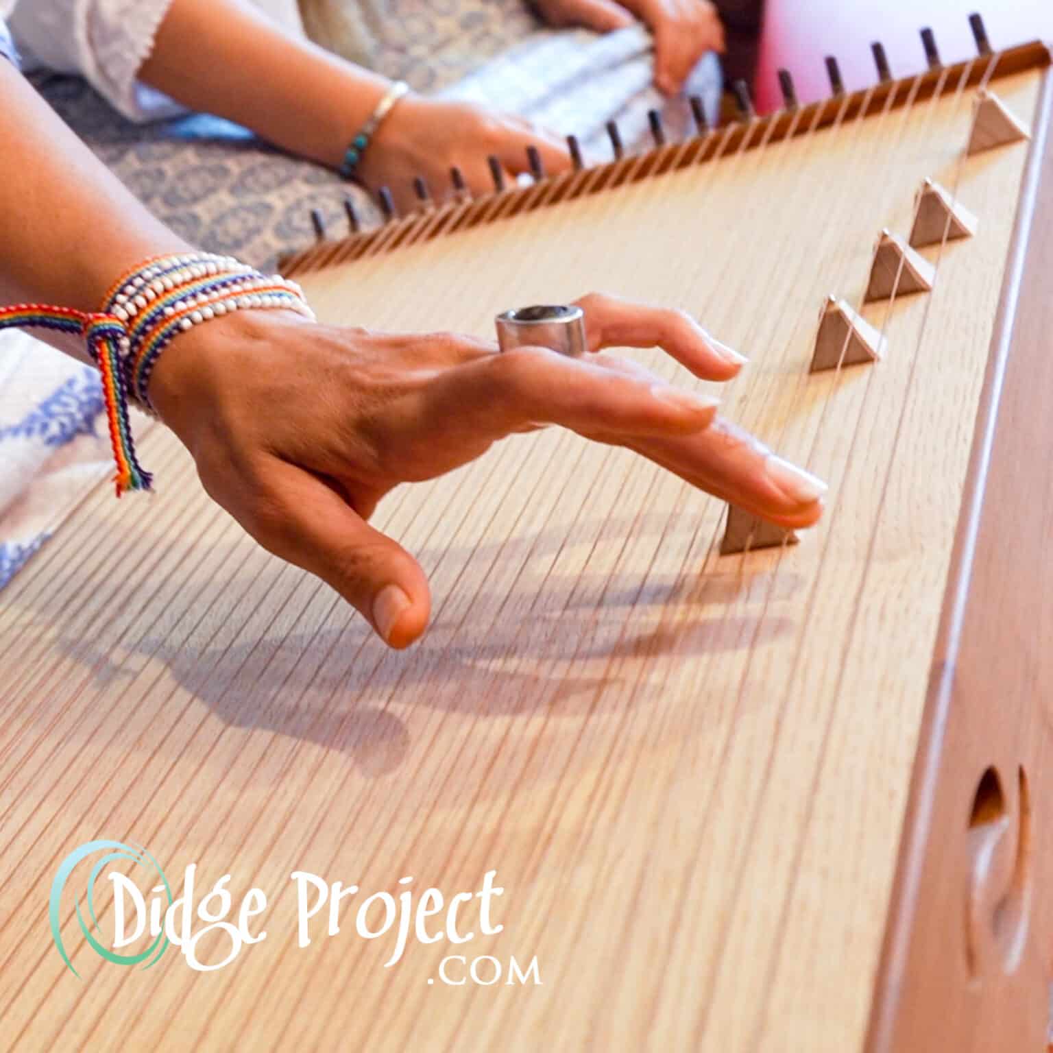 Monolina Monochord by Feeltone - Didge Project