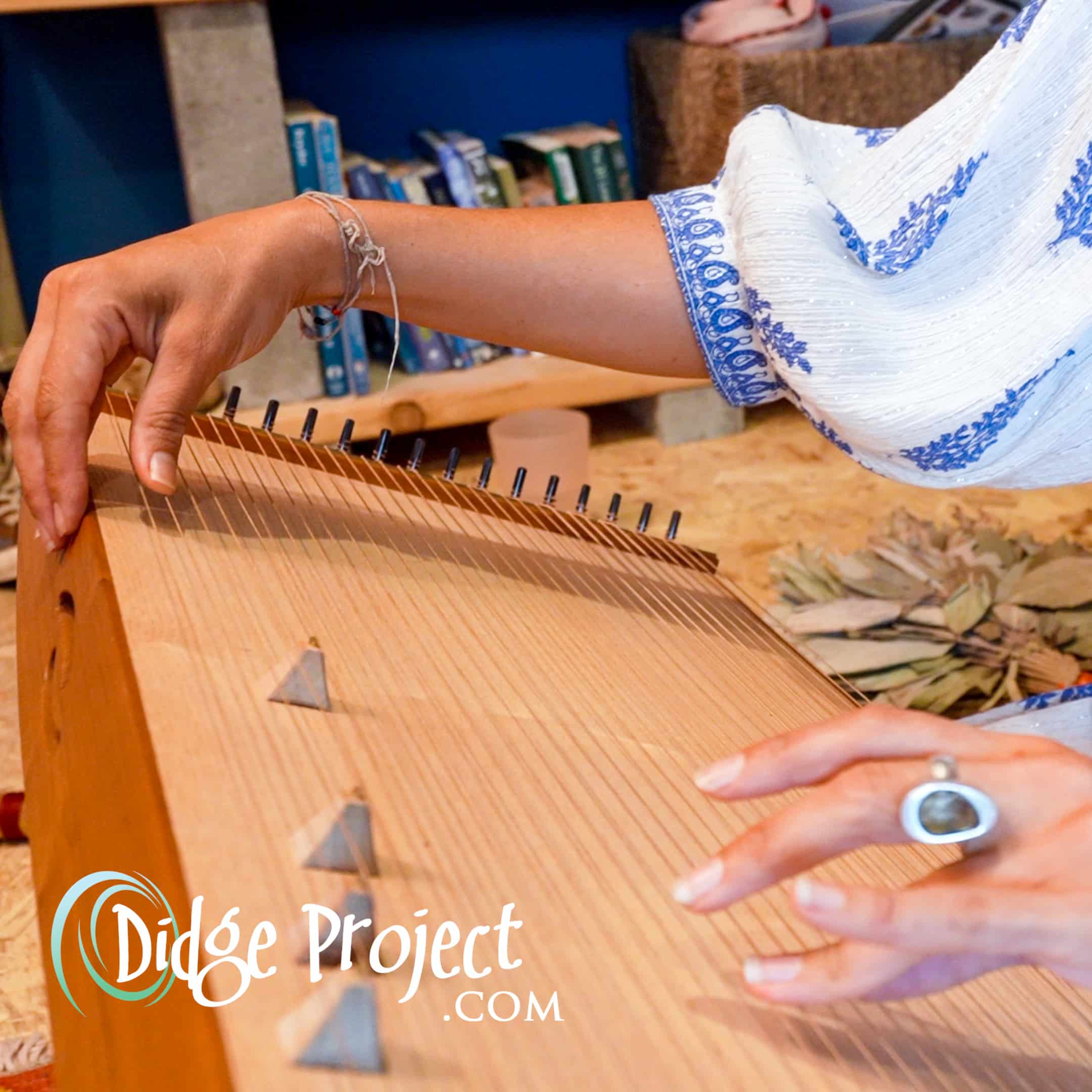 Monolina Monochord by Feeltone - Didge Project