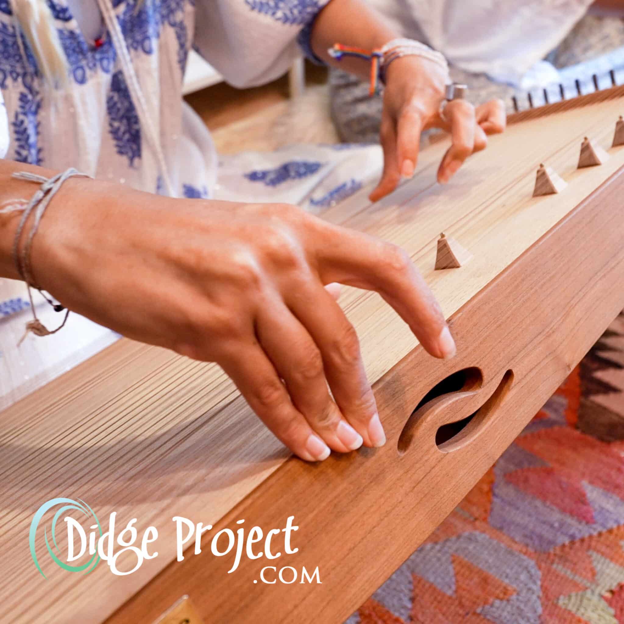 Monolina Monochord by Feeltone - Didge Project