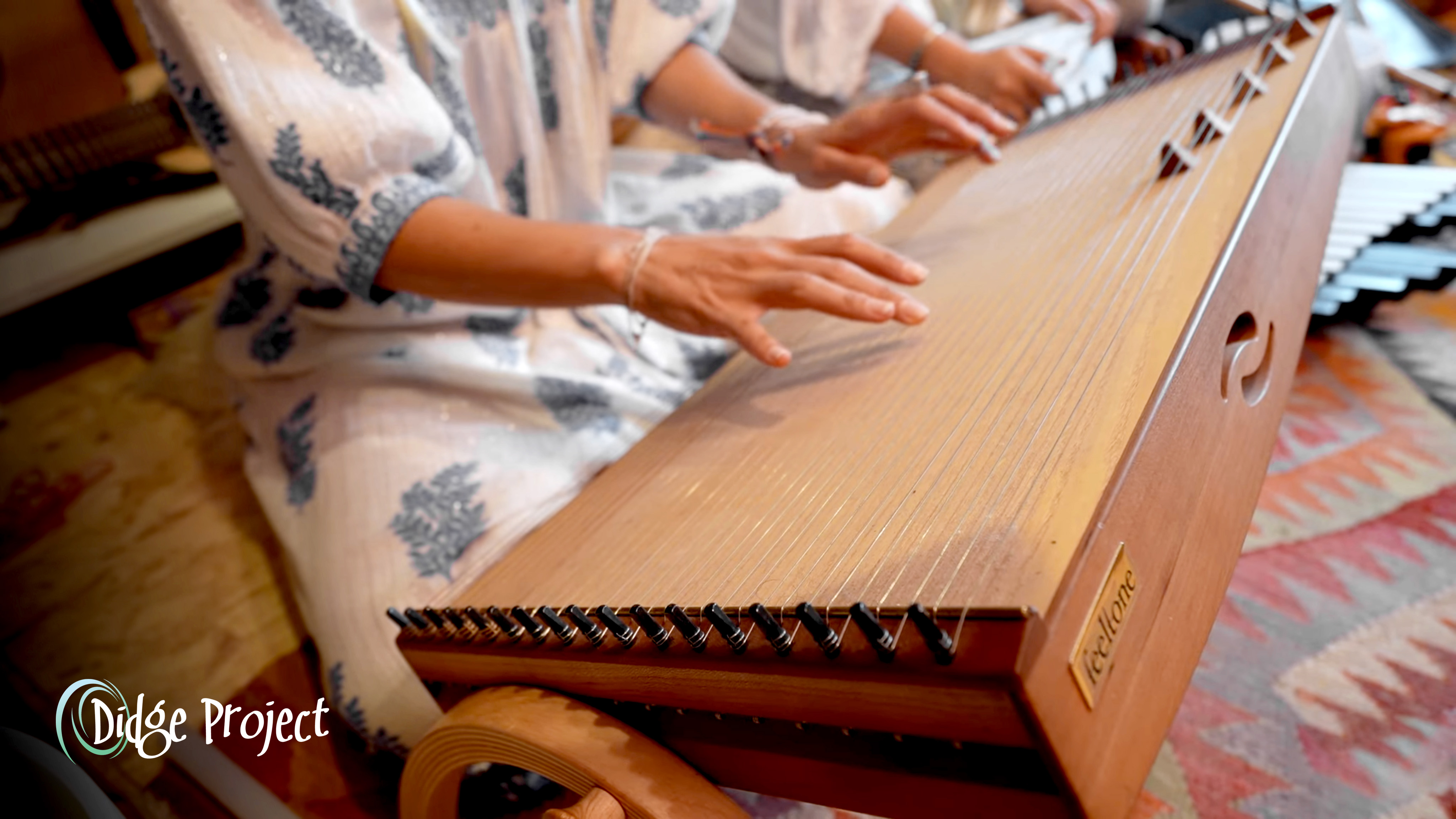 Monolina Monochord by Feeltone - Didge Project