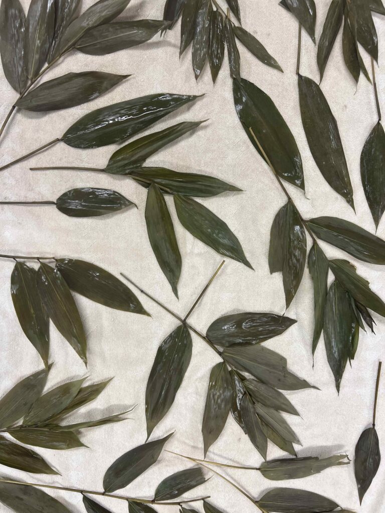 Chakapa (Shamanic Leaf Bundle) - Didge Project