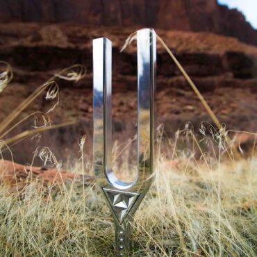 Mega Tuning Fork by Earth Tuned - Didge Project