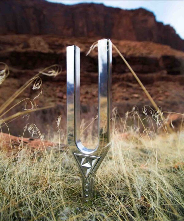 Mega Tuning Fork by Earth Tuned - Didge Project