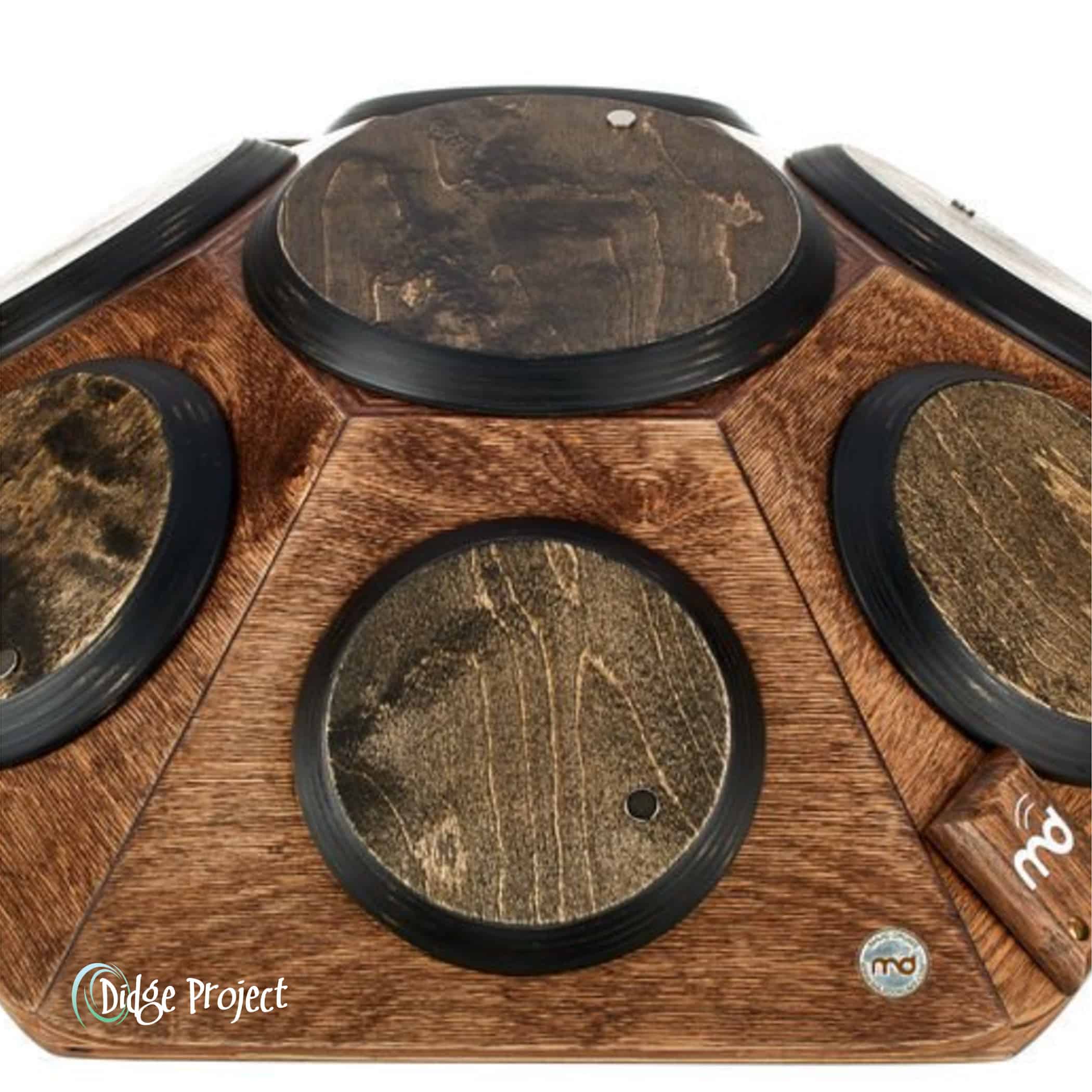 Hamgam by Majid Drums - Didge Project