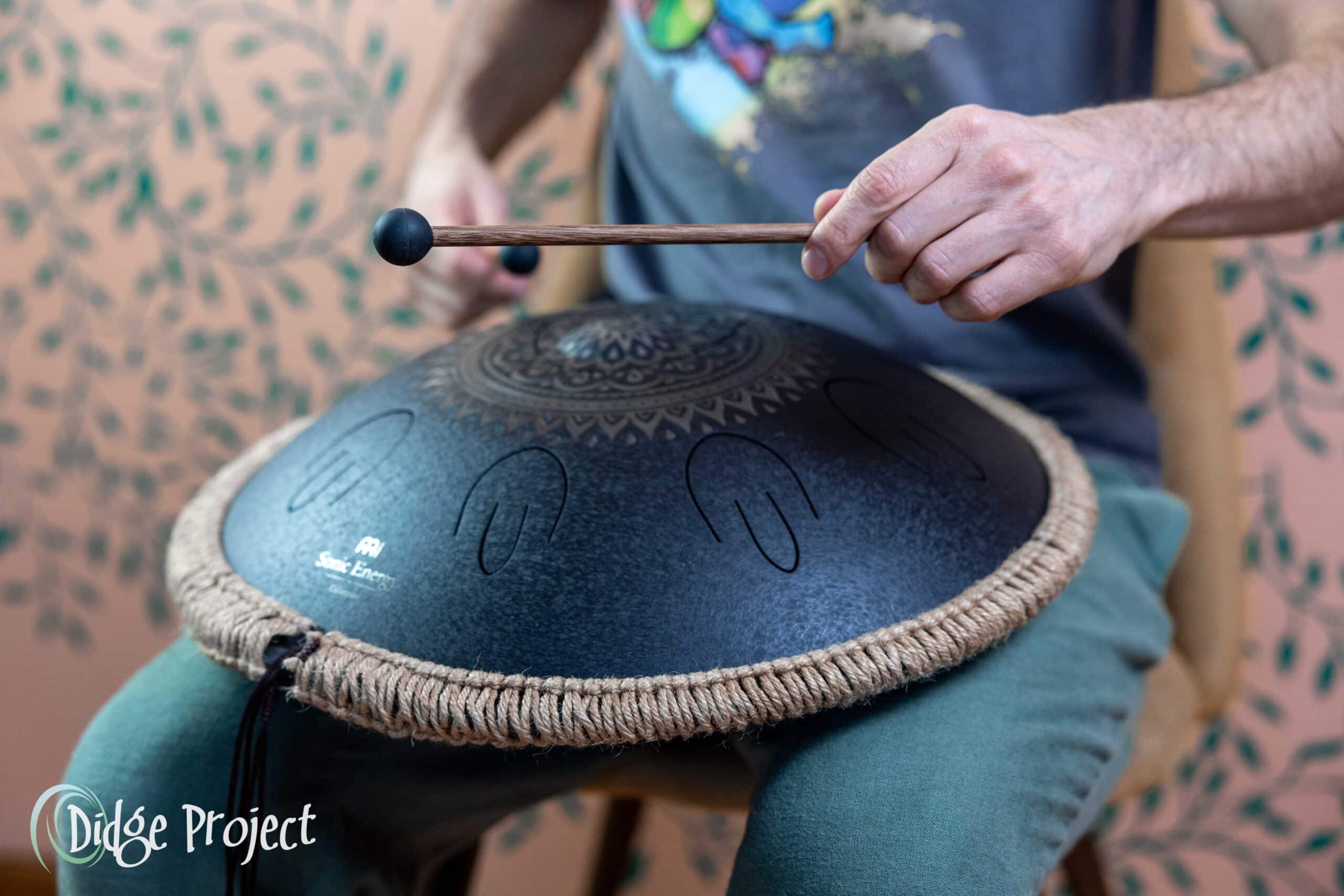 Octave Steel Tongue Drum by Meinl Sonic Energy - Didge Project