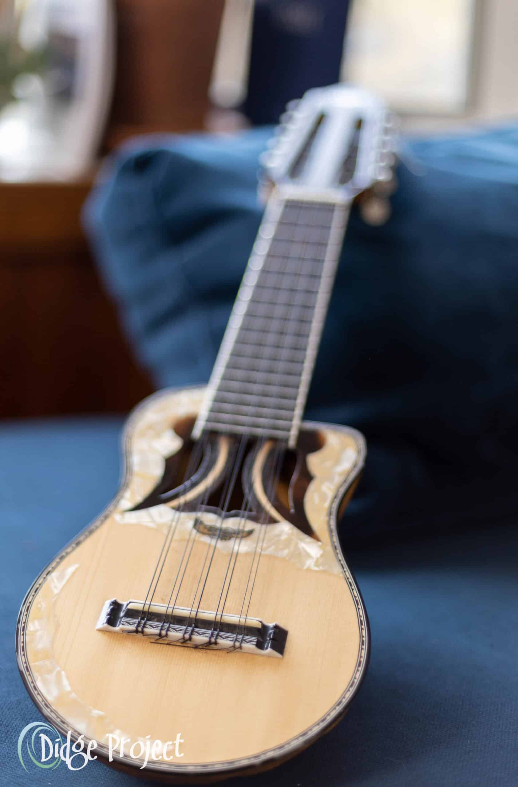 Handmade Charango with Carrying Case and Extra Set of Strings - Didge ...
