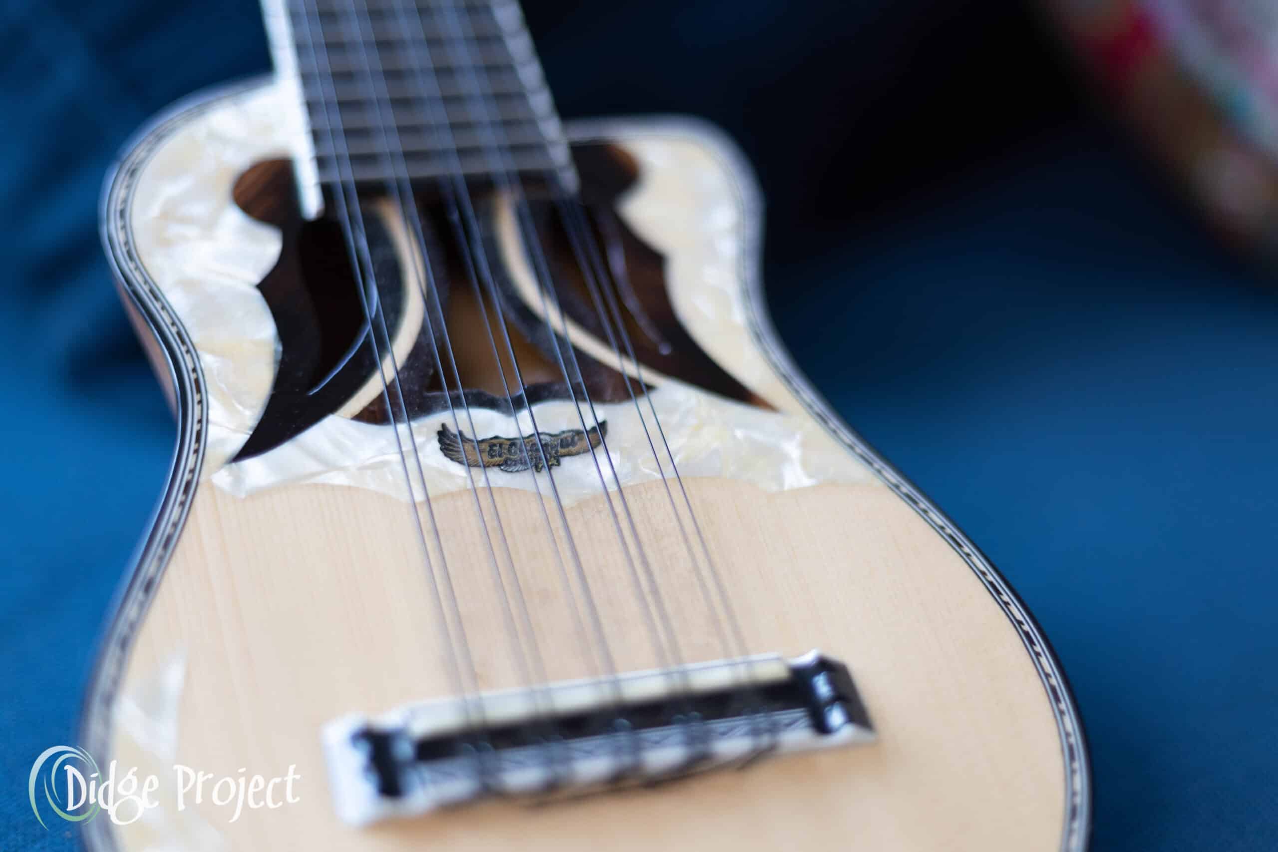 Handmade Charango with Carrying Case and Extra Set of Strings - Didge ...