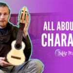 Handmade Charango with Carrying Case and Extra Set of Strings - Didge ...
